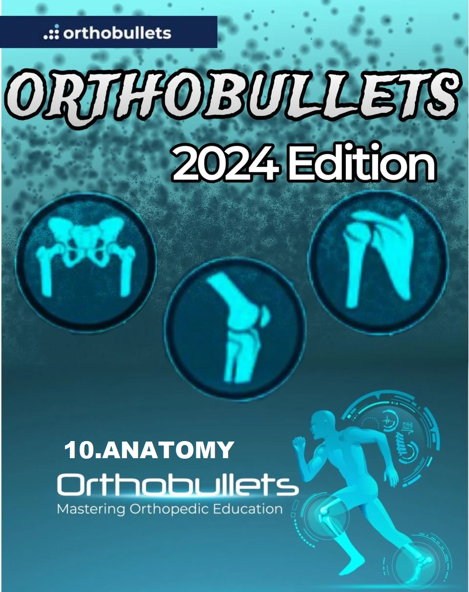 Orthobullets 2024 Book Part 10 - Anatomy – GROVER DOCUMENTATION
