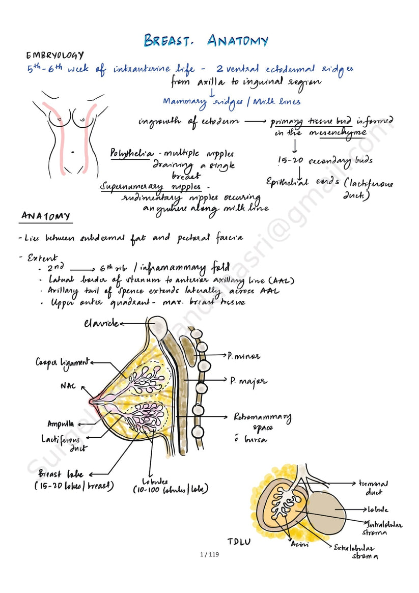 BREAST ANATOMY - Surgery Notes GMC – GROVER DOCUMENTATION